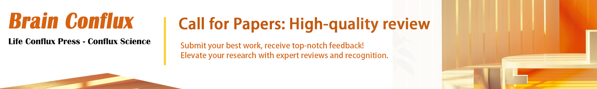 Brain Conflux