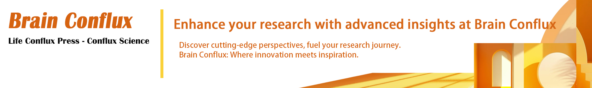 Brain Conflux